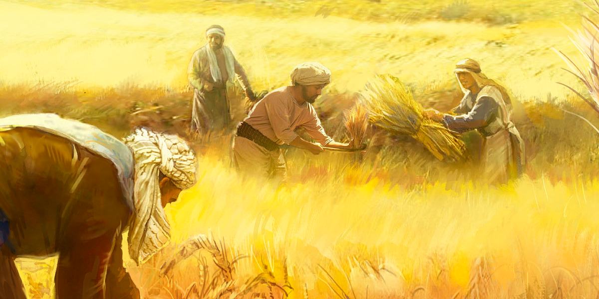 One Who Sows Bountifully Will Also Reap Bountifully Reflections Of Peter